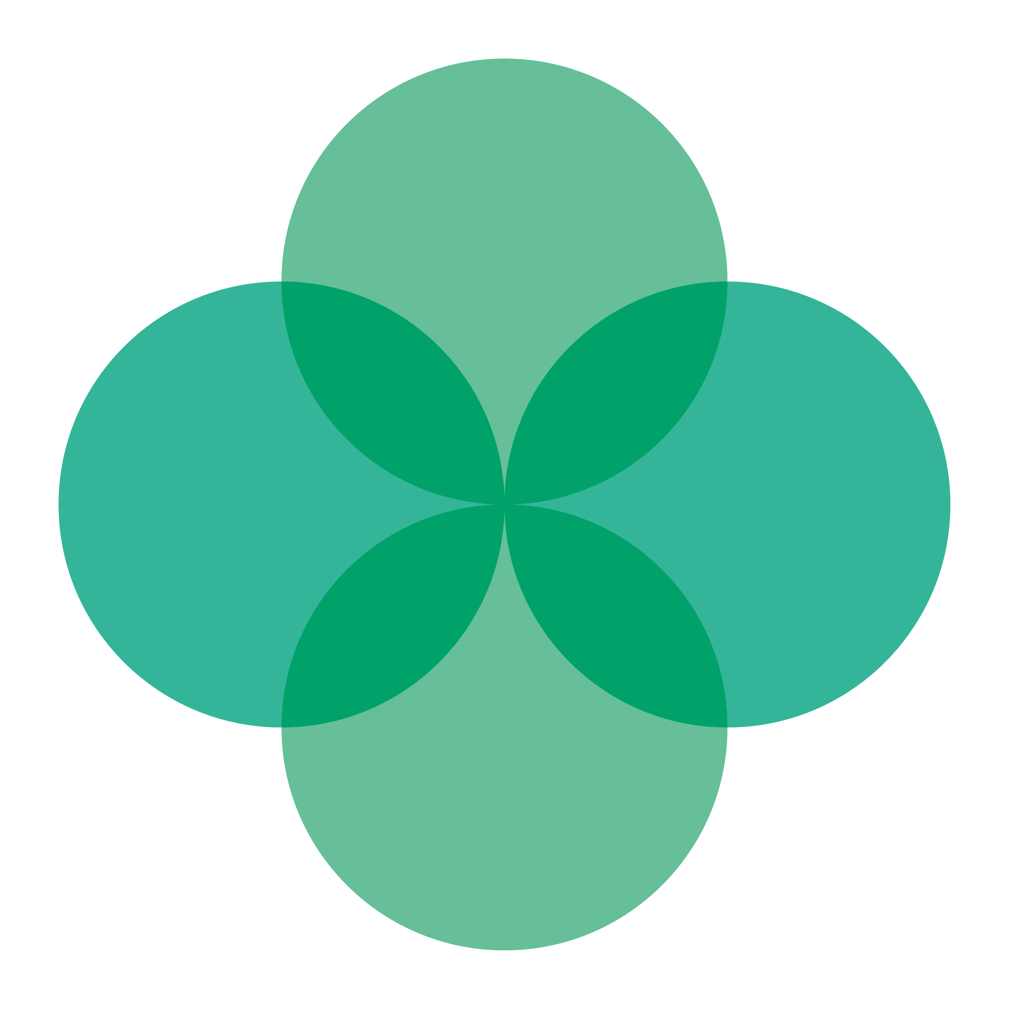 Menicon FlexiCurve | Producten | Harde lenzen | Menicon Nederland